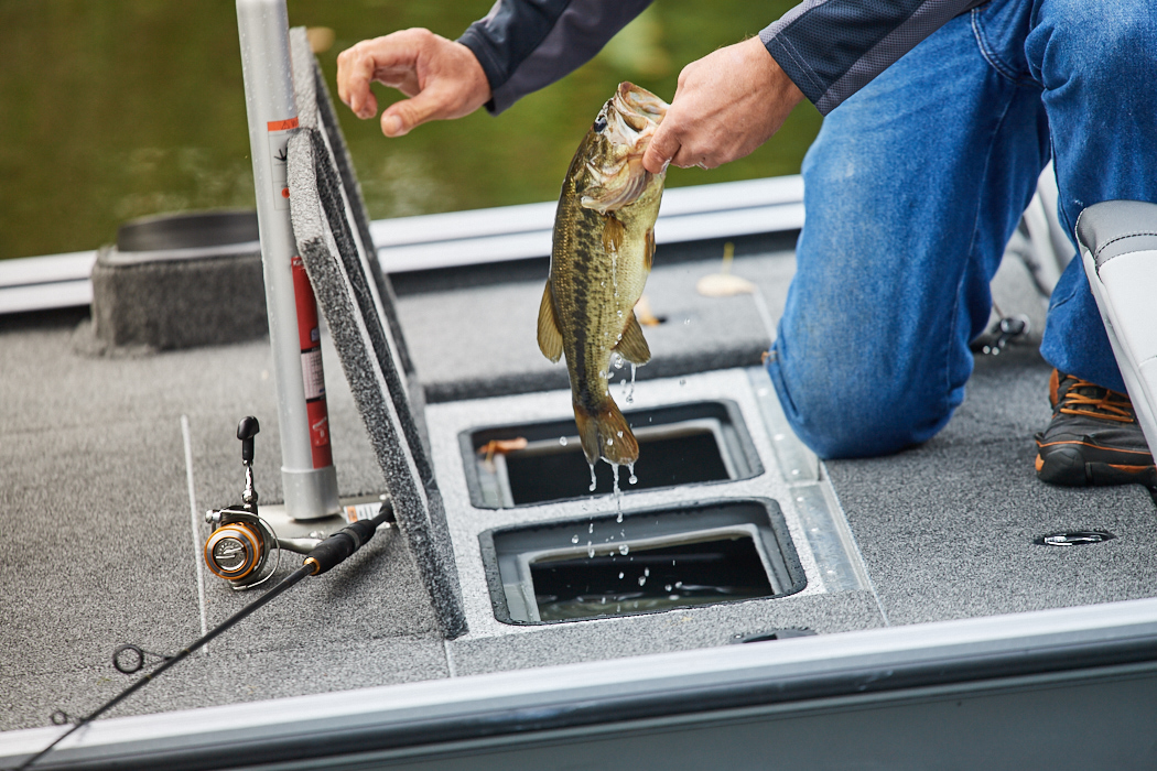 Best ways to stalk bass in shallow water